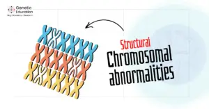 Structural Chromosomal Abnormalities: Definition, Types, Mechanisms ...