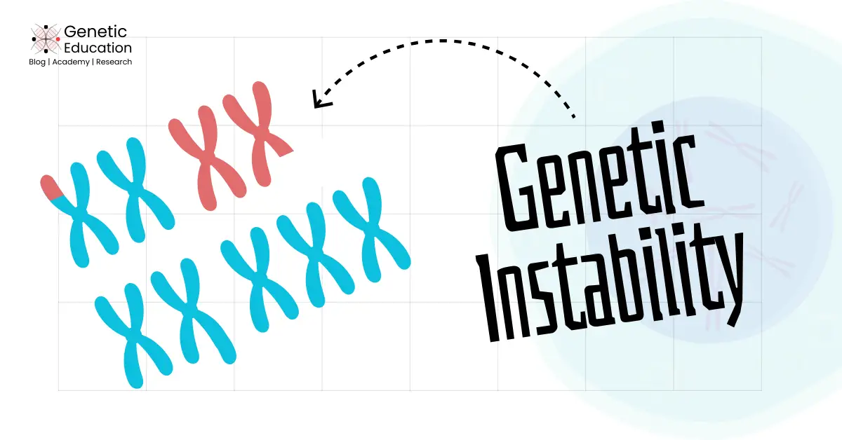 What is Genetic Instability- Definition, Types, Mechanisms, and ...