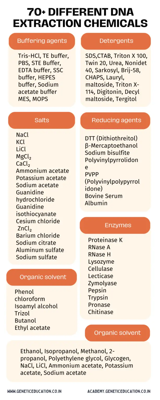 70+ Different DNA Extraction Chemicals and Their Function – Genetic ...