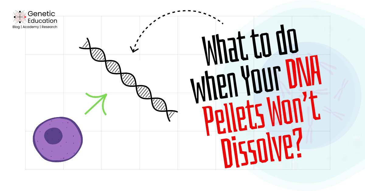 What to do when Your DNA Pellets Won’t Dissolve? Causes and ...