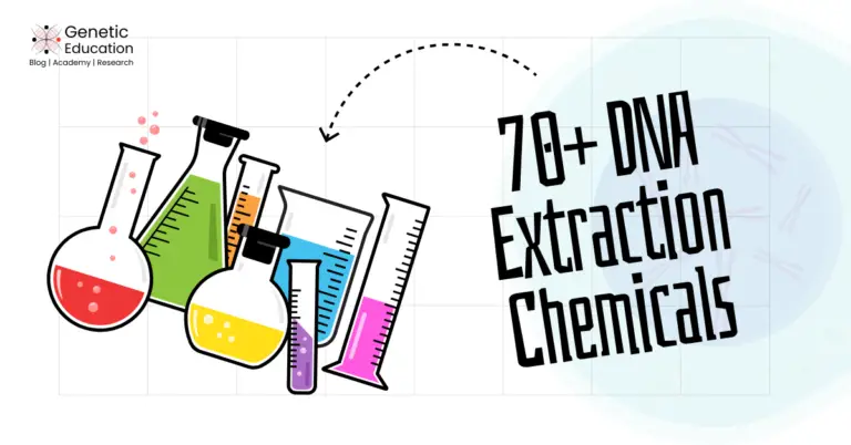 70+ Different DNA Extraction Chemicals and Their Function – Genetic ...
