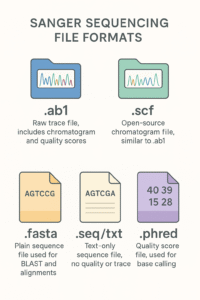 A Beginner's Guide to Sanger Sequencing Results [Before ...