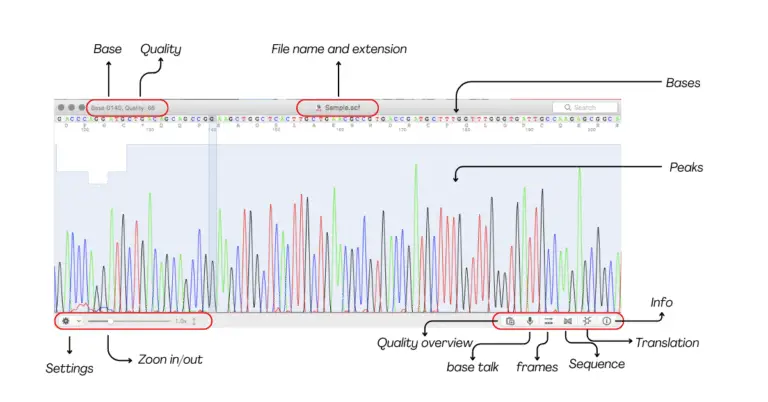 4Peaks Review: Easiest Sequence Analysis Software – Genetic Education