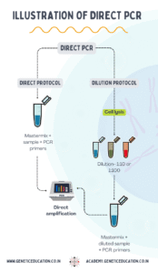 What is Direct PCR?- A Beginner to Advanced Guide – Genetic Education