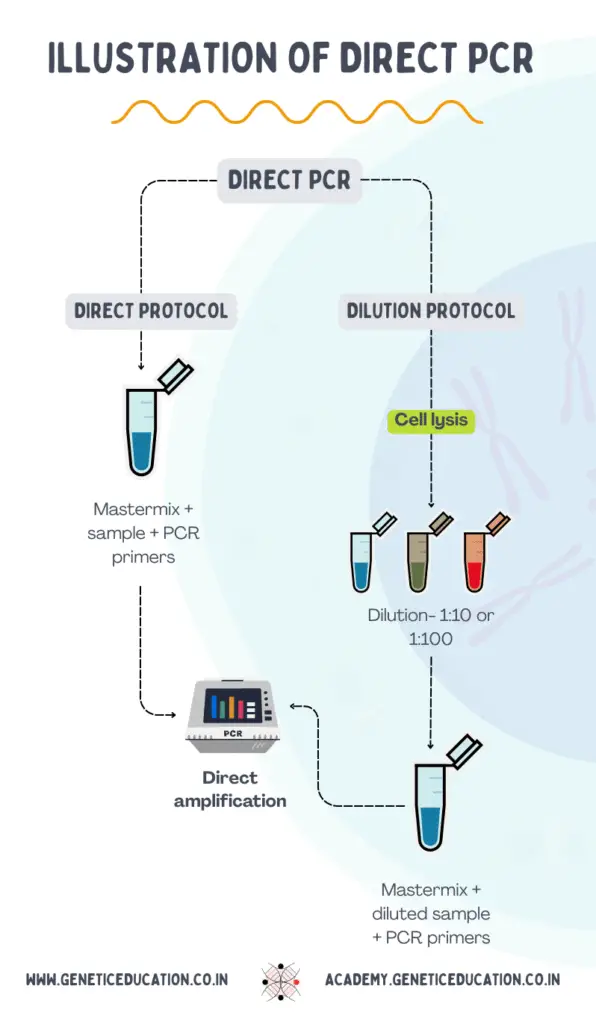 What is Direct PCR?- A Beginner to Advanced Guide – Genetic Education