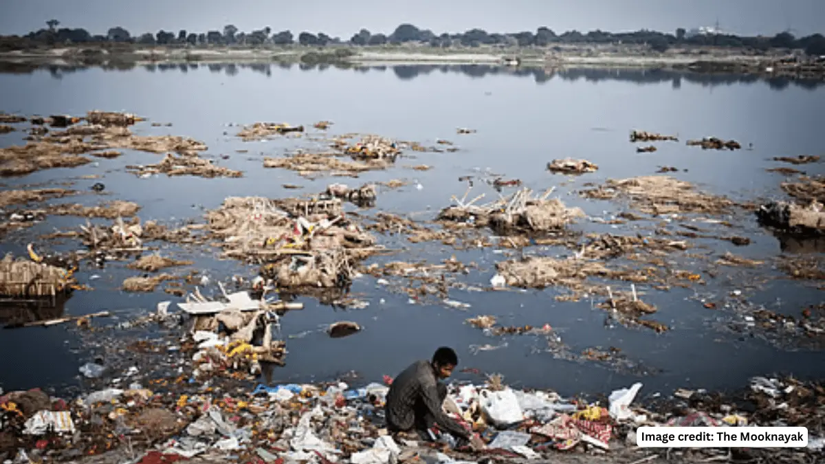 How a River Is Rewriting Our DNA- The Story of Yamuna – Genetic Education
