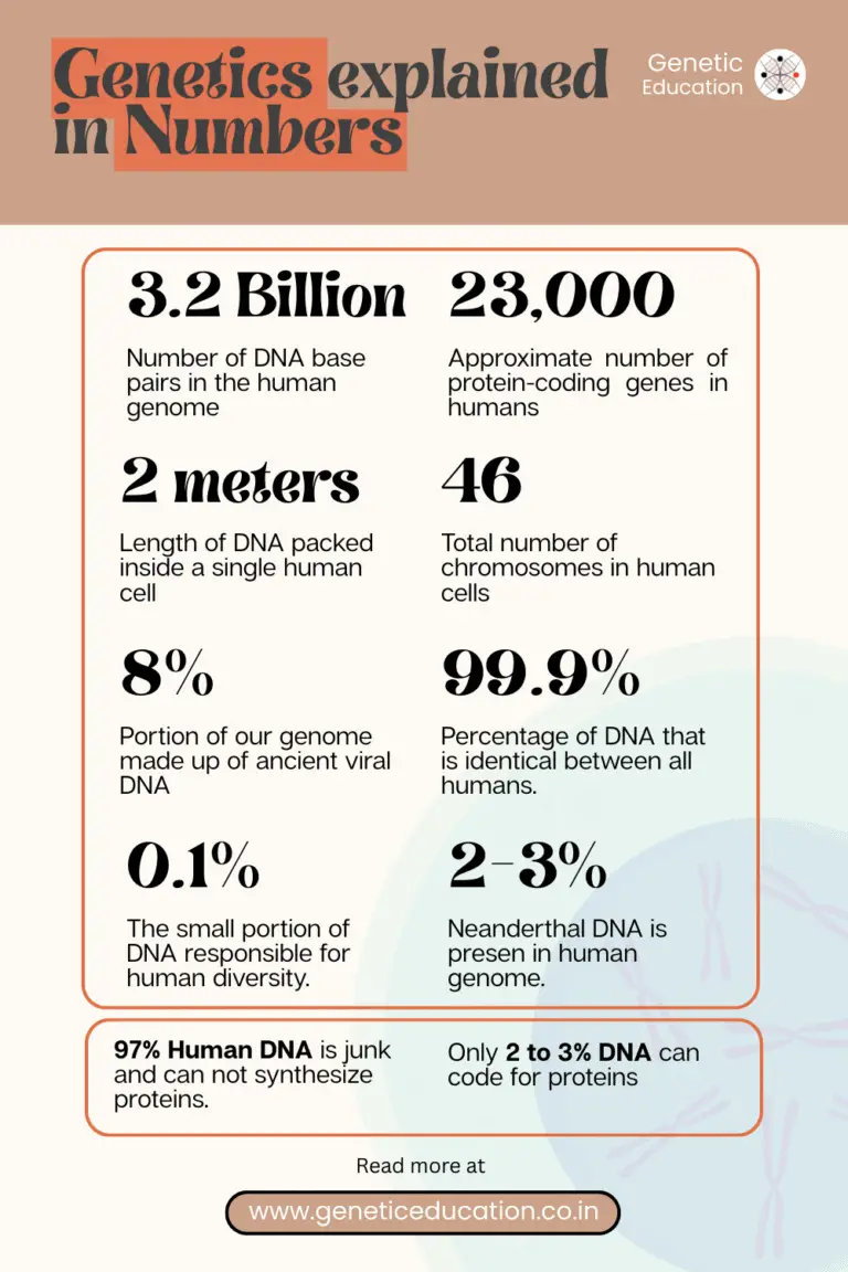 [Infographic] Genetics Explained In Numbers – Genetic Education