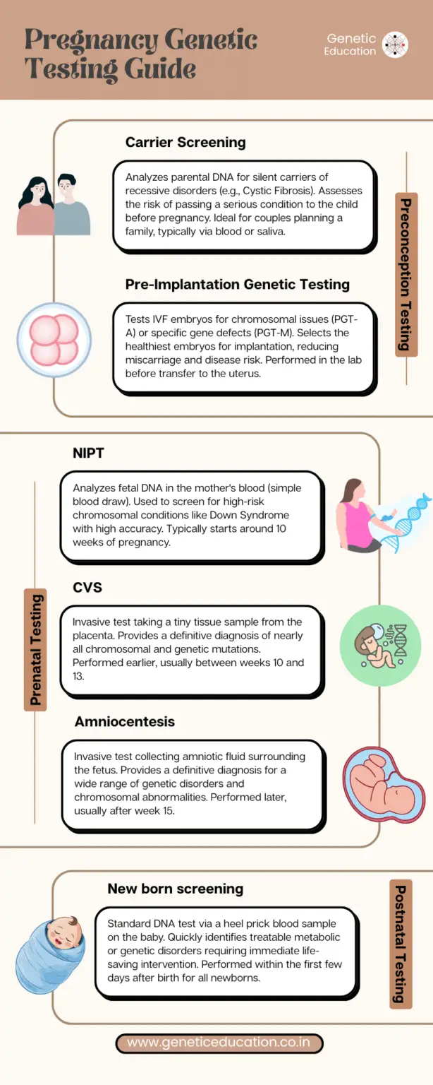 [Infographic] Pregnancy Genetic Testing Guide – Genetic Education