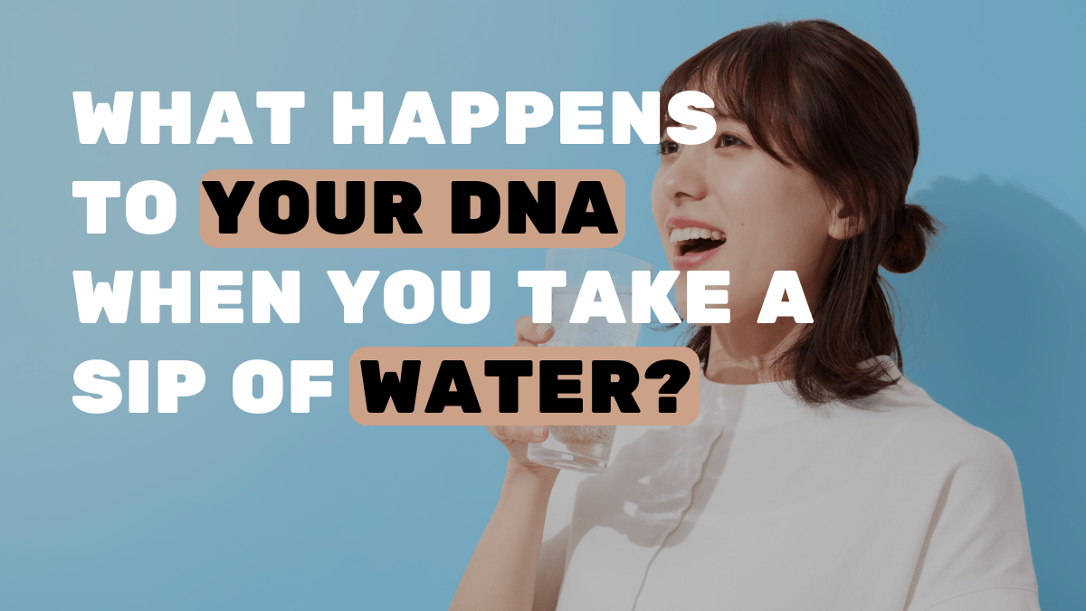What Happens To Your DNA When You Take a Sip of Water? – Genetic Education